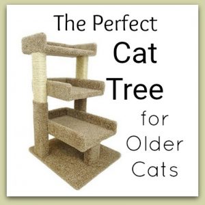 Holy Meow! | A Carefully Curated Collection of Gifts for Cat Lovers